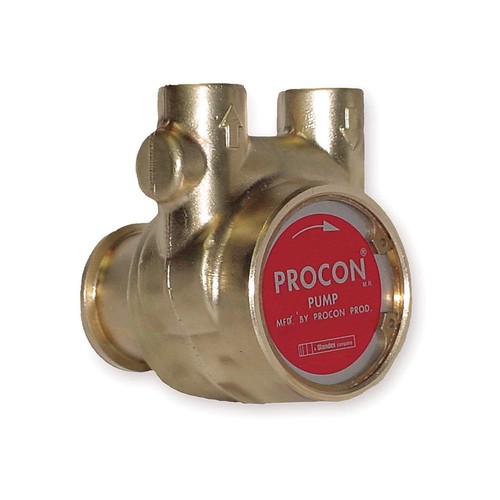 Procon 114B330F11XX Brass Rotary Vane Pump, 1/2" NPTF, 346 GPH | eBay