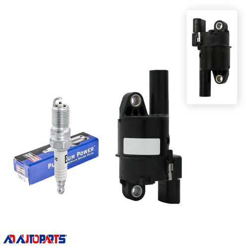 8 Delphi D514a Ignition Coils 8 HERLUX Spark Plug Wires 8 Herko ...