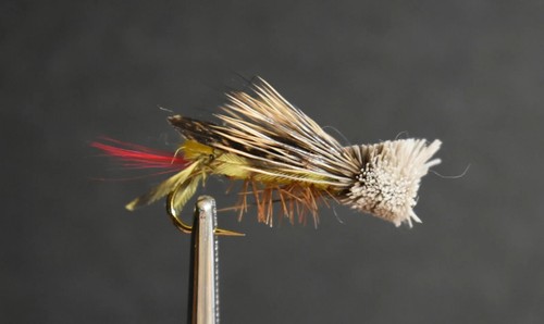 DAVE'S REGULAR HOPPER TERRESTERIAL Fly Fishing Fly Flies, 1 Fly, You ...