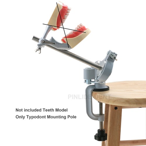 US Columbia Type Dentoform Typodont Mounting Pole Dental Pole Mount ...