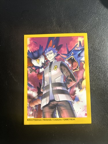 Pokemon Boss’s Orders SWSH251 Promo Card SLEEVE from Cyrus Premium ...