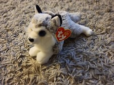 Baltic the Husky - Beanie Babies - Beaniepedia