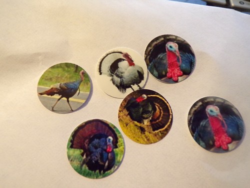 Pre Cut One Inch Bottle Cap Images Turkey Bird Free Shipping | eBay