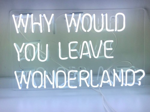 Alice Why Would You Leave Wonderland Neon Sign Light Lamp 19"x10" With ...