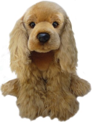 Dog Teddy for sale | eBay