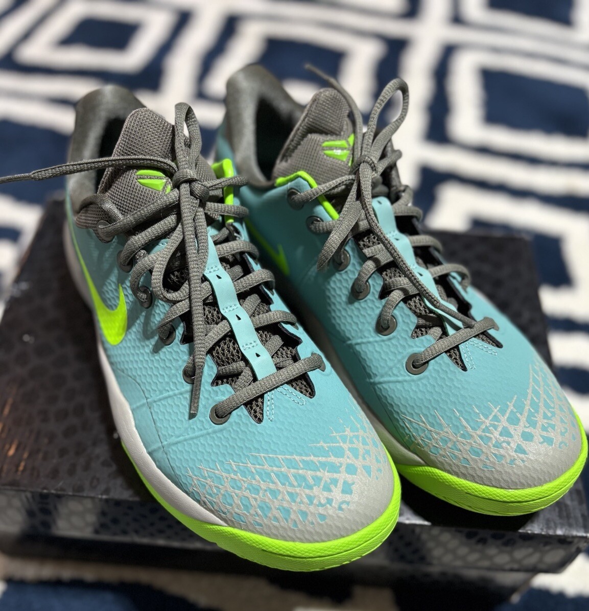 Kobe Venomenon 4 Anos Do Cavalo