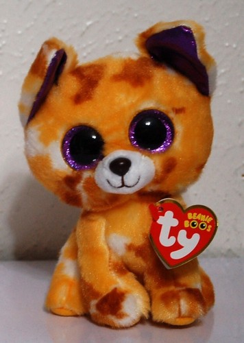 NEW, TY BEANIE BOOS "PABLO" the CHIHUAHUA DOG 6 with TAGS | eBay