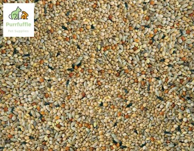 Foreign Finch Seed for sale | eBay UK