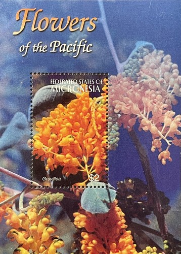 MICRONESIA FLOWERS OF THE PACIFIC STAMPS S/S 2004 MNH WILDFLOWERS FLORA ...