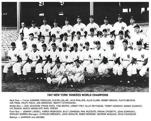 MLB 1947 World Champion New York Yankees Team Picture 8 X 10 Photo ...