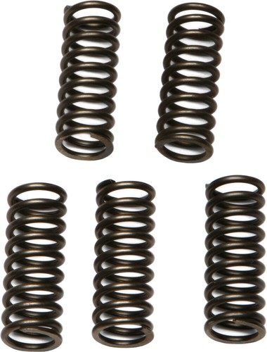 EBC CSK Clutch Spring Kit CSK97 | eBay
