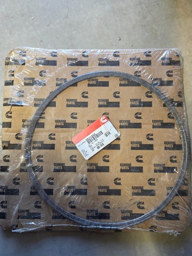 Genuine Cummins 2871452 GASKET, AFM DEVICE | eBay