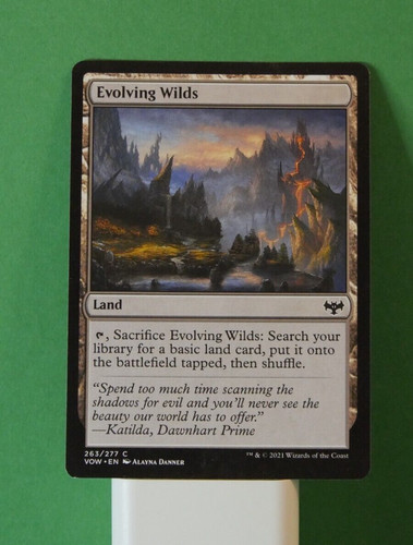 MTG VOW: Evolving Wilds Innistrad: Crimson Vow Regular Land 263/277 | eBay