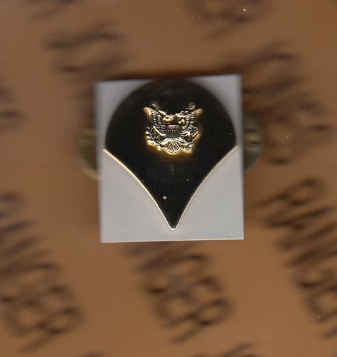 US Army Enlisted E-4 Specialist Fourth Class SPC rank dress badge ...
