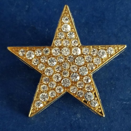 VINTAGE LADY SHRINER FREE MASON MASONIC RHINESTONE STAR PIN 2006 | eBay