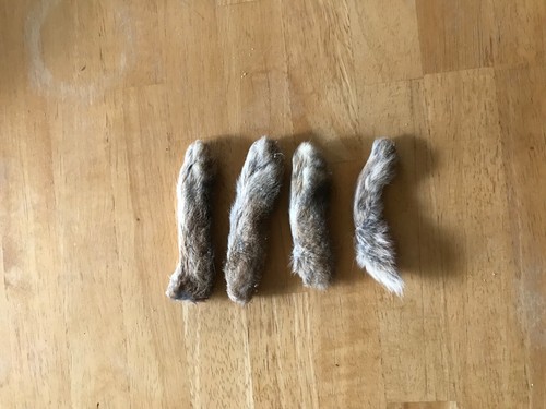 FOUR (4) REAL RABBITS FEET -RABBITS FOOT | eBay
