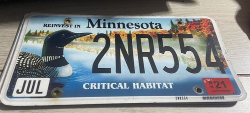 MINNESOTA CRITICAL HABITAT LOON BIRD GRAPHIC 2017 EXP LICENSE PLATE | eBay