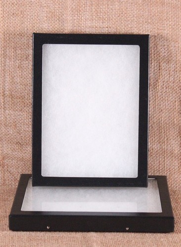 Collector's Display Case: 6 x 8 x 3/4