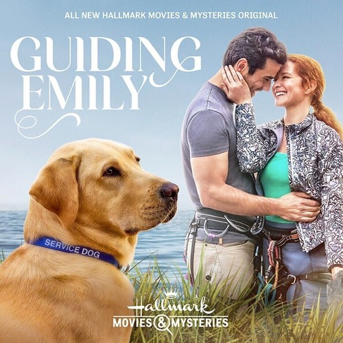GUIDING EMILY DVD 2023 HALLMARK MOVIE - Sarah Drew - Case/No Cover | eBay