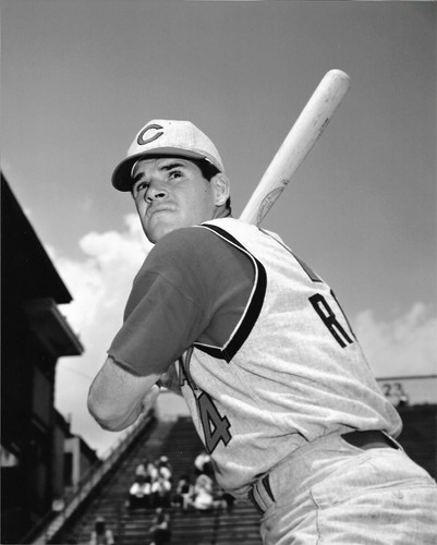 Pete Rose Photo Cincinnati Reds 8x10 Baseball Photo 1963-1986 1973 MVP ...