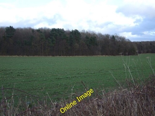 Photo 6x4 Farmland towards Great Wood Little Ribston c2013 | eBay