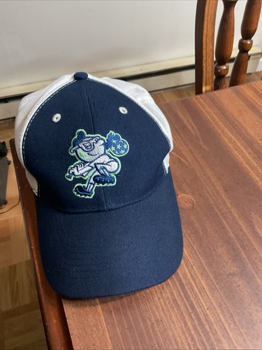 Asheville Tourists Sally League MLB Minor League Adjustable Blue And ...