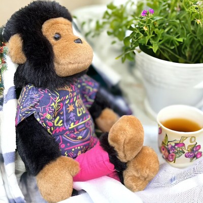 PG Tips Monkey Branded Soft Toys for sale | eBay