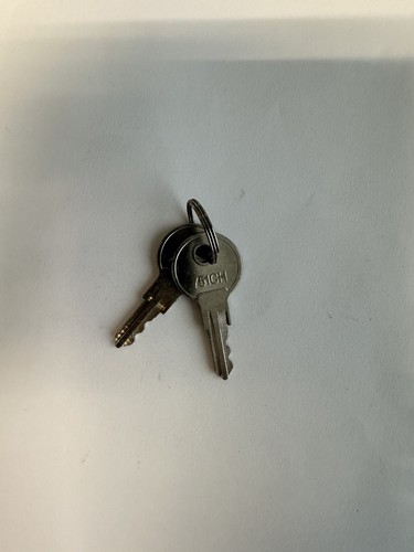 CH751 Irrigation Controller key pair | eBay