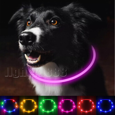 Led Flashing Dog Pet Collar for sale | eBay