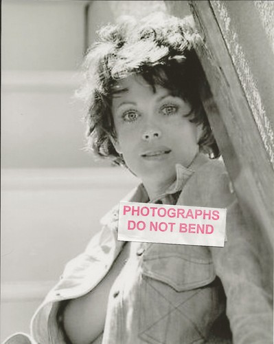 8x10 photo Phyllis Davis pretty sexy "Vegas" TV star pin-up photo | eBay