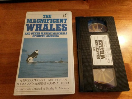 Samson and Sally - The Song of the Whales (VHS, 1991) for sale online ...