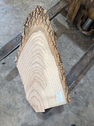 White Ash slab #2495, live edge slab, unfinished, free shipping | eBay