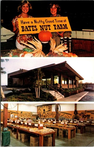 Postcard CA Valley Center/National City; Bates Nut Farm; A Nutty Good ...
