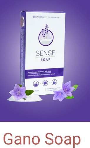 Sense Soap GanoExel Milk Soap 2x100g | eBay