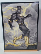 DC Multiverse The Flash (Gold Label - Black & White Accent Edition)