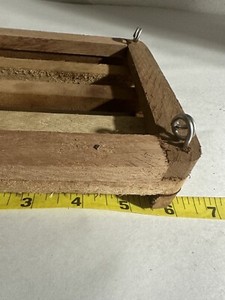 Machiela's Orchids | eBay Stores