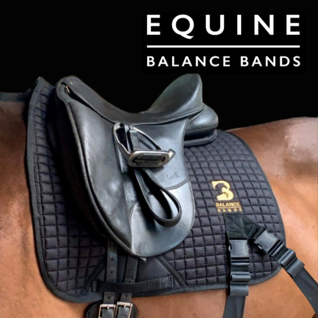 Equine Balance Therapy Products | eBay Stores