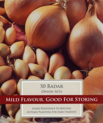 Onion Sets for sale | eBay