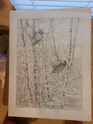 Peter Corbin SIGNED 1979 Pencil Drawing Of Birds E-1 | eBay