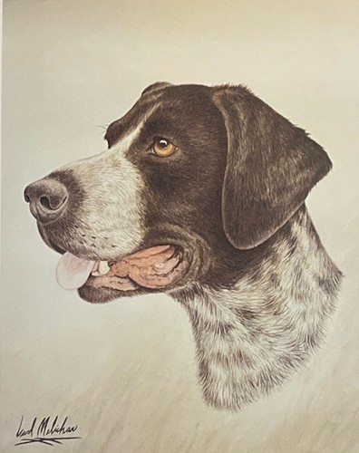 Carl Melichar S/N Hunting Dog Print SymbaGerman Shorthaired Pointer (9. ...