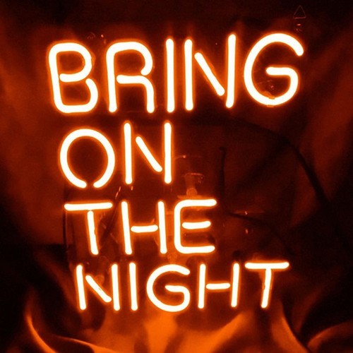 14"x10" Bring On The Night Orange Neon Sign Acrylic Light Lamp Bar ...