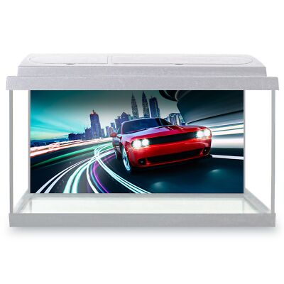 Fish Tank Car for sale | eBay