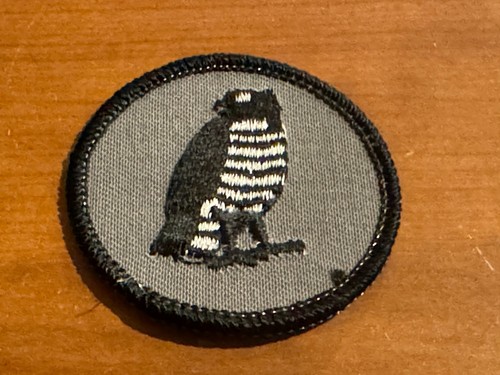 BSA, Vintage Hawk Patrol Patch (1972-1989) | eBay