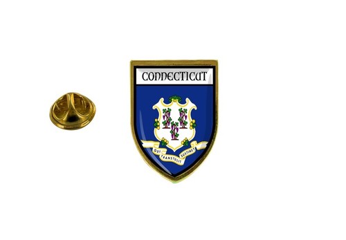 Pins Pin Badge Pin's Souvenir City Flag Country Arms States USA ...