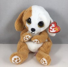 Ruggles the Dog - Beanie Bellies - Beaniepedia