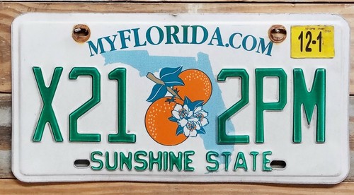 Florida expired 2001? SUNSHINE STATE License Plate Tag - X21 2PM ...