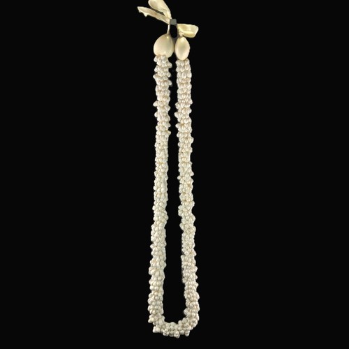 Hawaiian Mongo Shell Lei & Ivory Kukui Nut Ending with Ivory Ribbon Tie ...