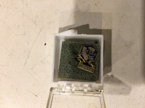 Vintage California 20 year Pin medal CSEA | eBay