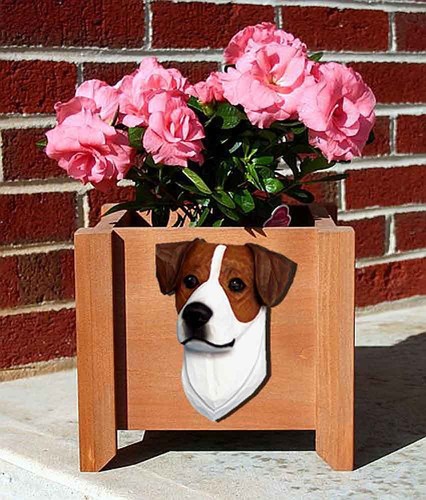Jack Russell Terrier Planter Flower Pot Smooth Brown White | eBay UK