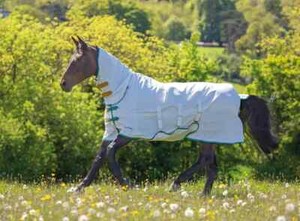 Sweet Itch Fly Rug for sale | eBay